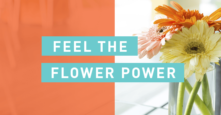 Practical Ways to Feel Happy – ecogreenlove