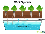5 Eco Loving Hydroponic System Brands For Your Home
