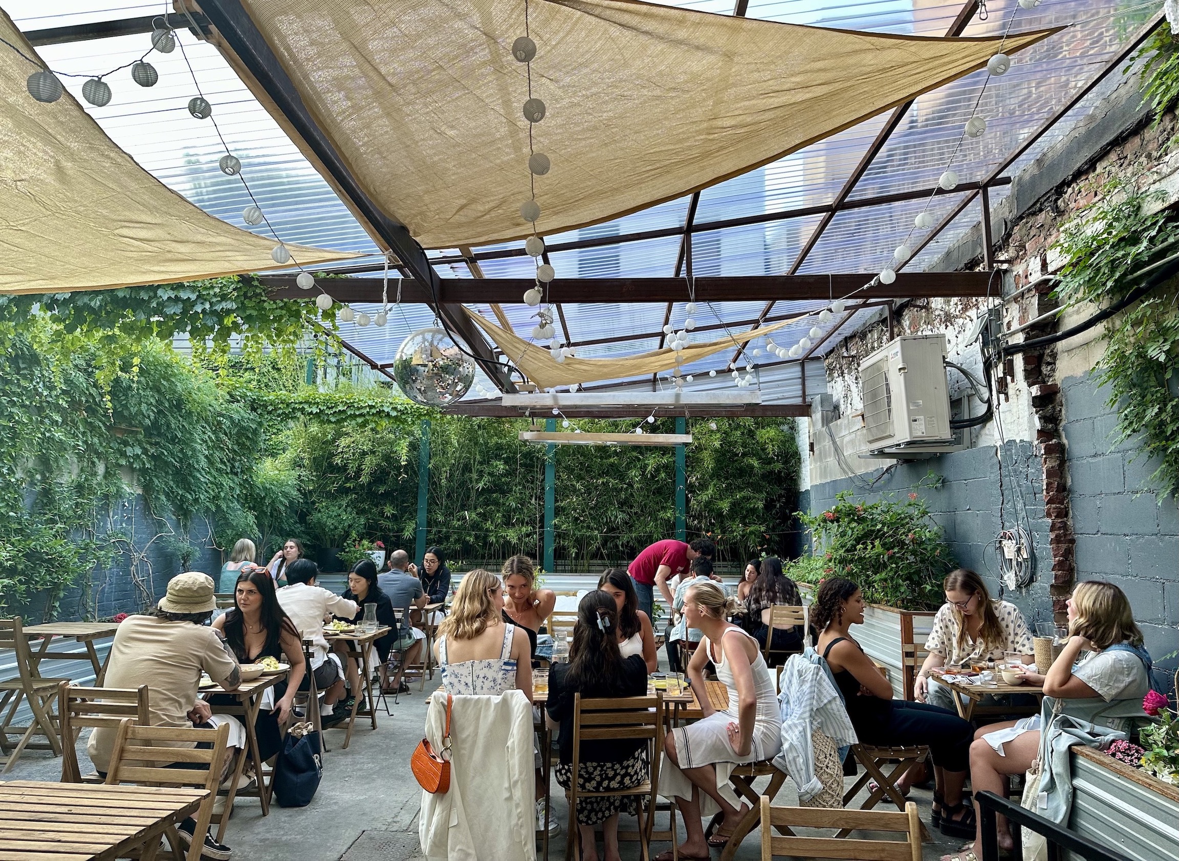 IMG_3053-1 - Greenpointers