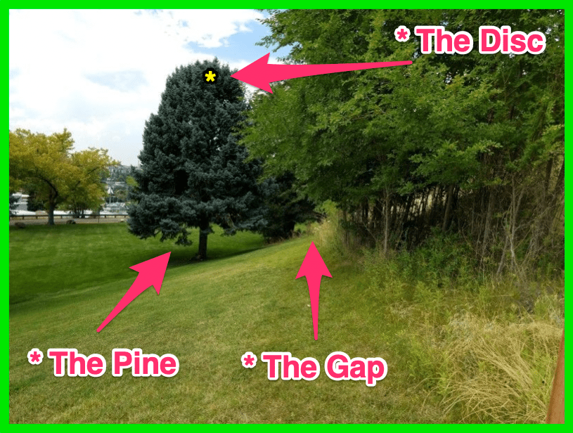 Gripe No. 14: Losing golf discs (that are clearly visible)