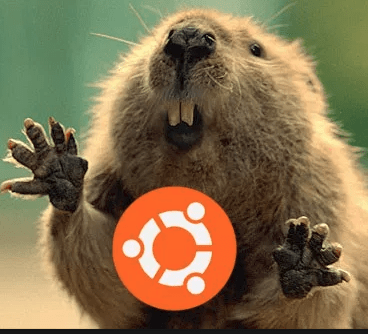 After you install Ubuntu 18.04 Bionic Beaver | Greg Laden's Blog