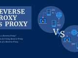 Reverse Proxy Vs Proxy Gridinsoft Blogs