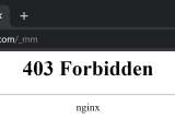 Diagnosing 403 Forbidden Errors Gridpane