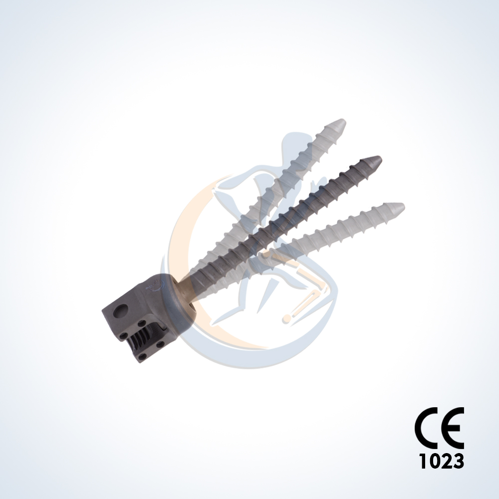POLYAXIAL SCREW - Griportho