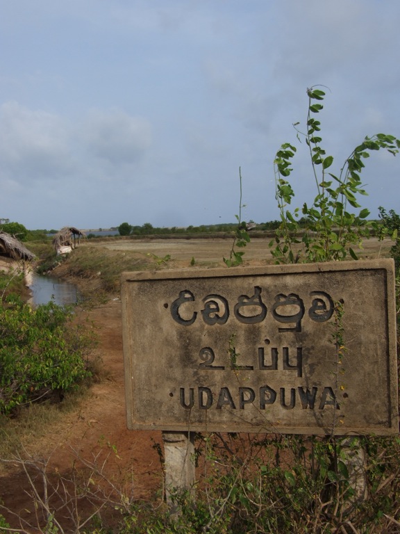 Life in Udappu, a traditional Tamil fishing hamlet – Photo story ...