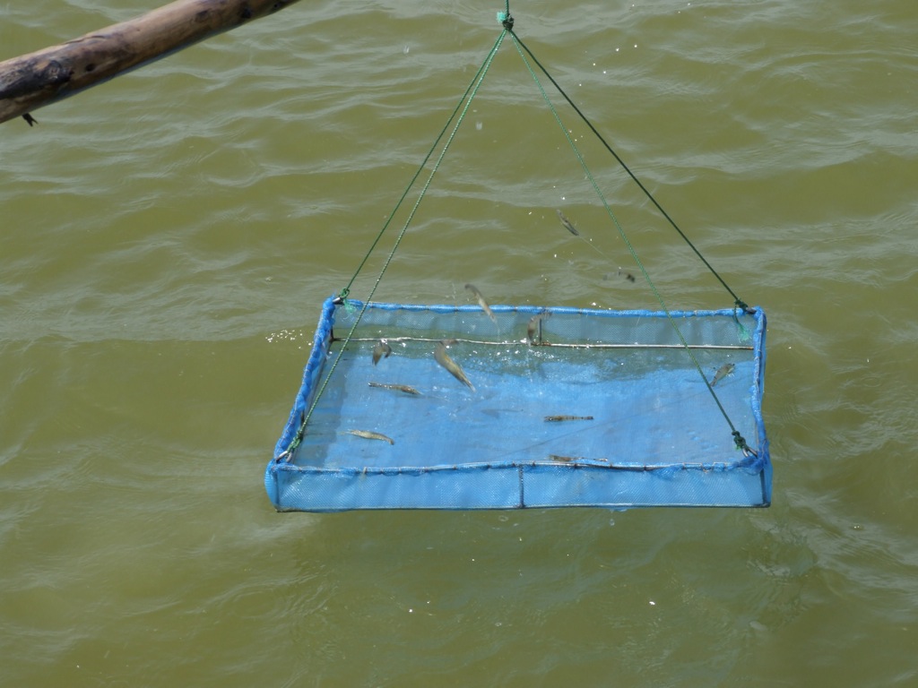 Life in Udappu, a traditional Tamil fishing hamlet – Photo story ...