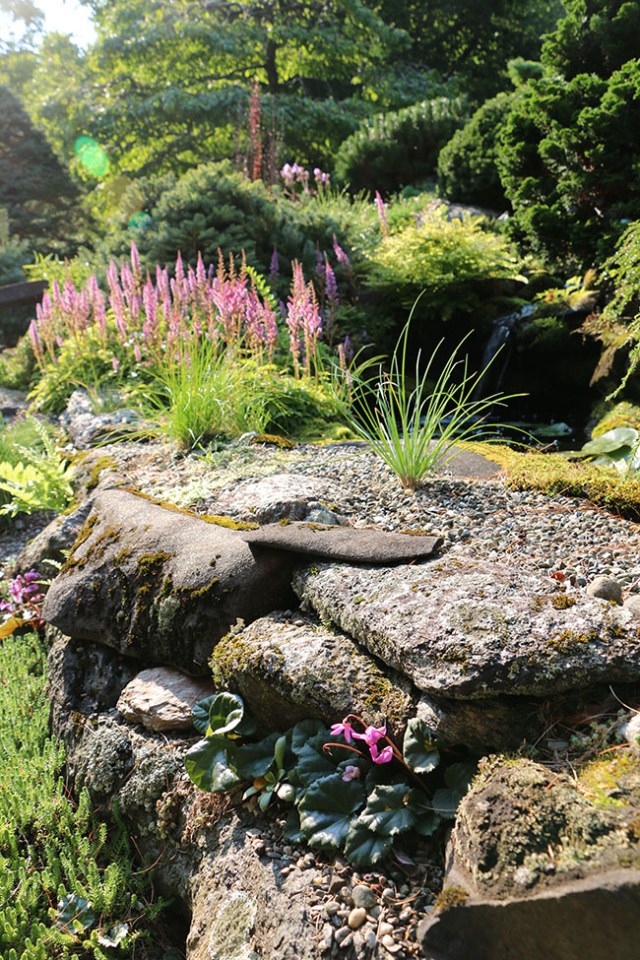 Botanical Treasures in Patsy Highberg's Vermont Idyll - Growing With Plants