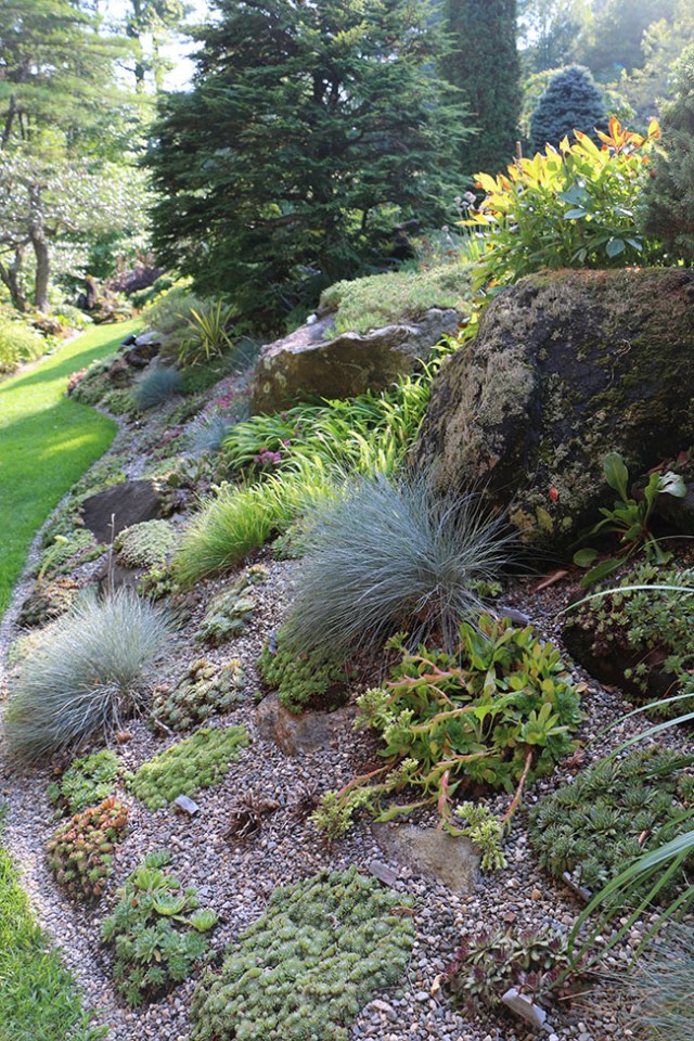 Botanical Treasures in Patsy Highberg's Vermont Idyll - Growing With Plants