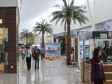 Galerías Mall Sonora Grupo Link Arquitectura Y Desarrollo Inmobiliario