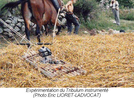 etymology, threshing, tribulation – MMM — Mission Musings