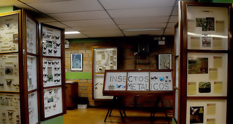 Museos de Costa Rica – Guías Costa Rica