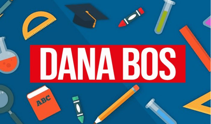 Pelaksanaan Penggunaan Alokasi Dana BOS Kinerja Tahun 2021