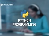 Python Programming Guruschools