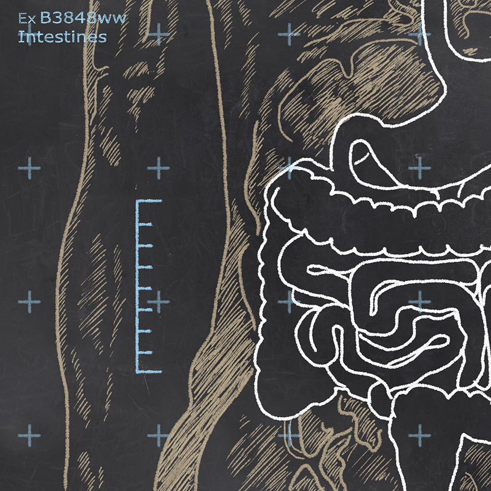 © Diego Bohórquez 2025. All rights reserved.