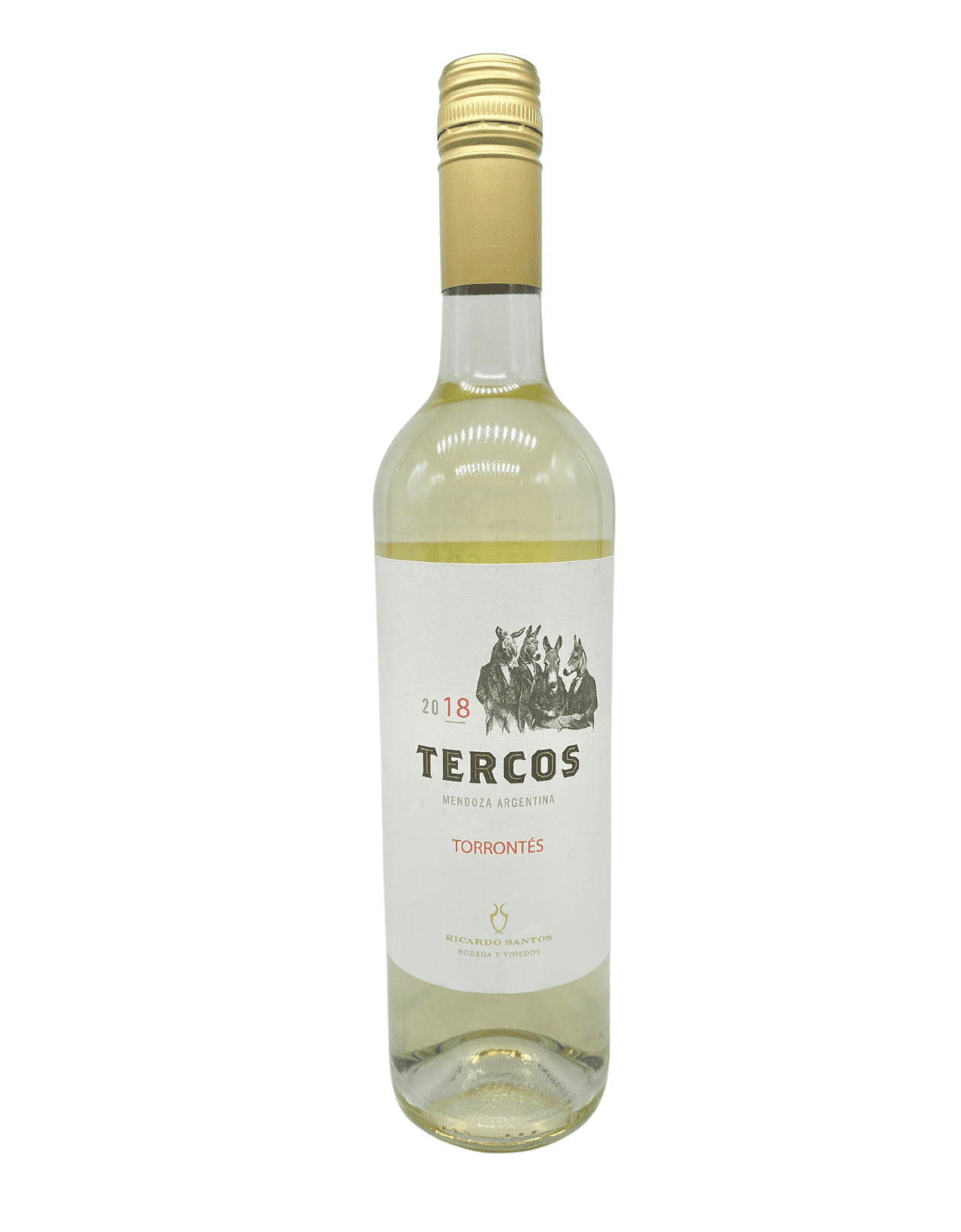 2022 Tercos Torrontes from Argentina - GVI Wines