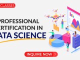 Data Science Certification Course Gyanipandit Programming