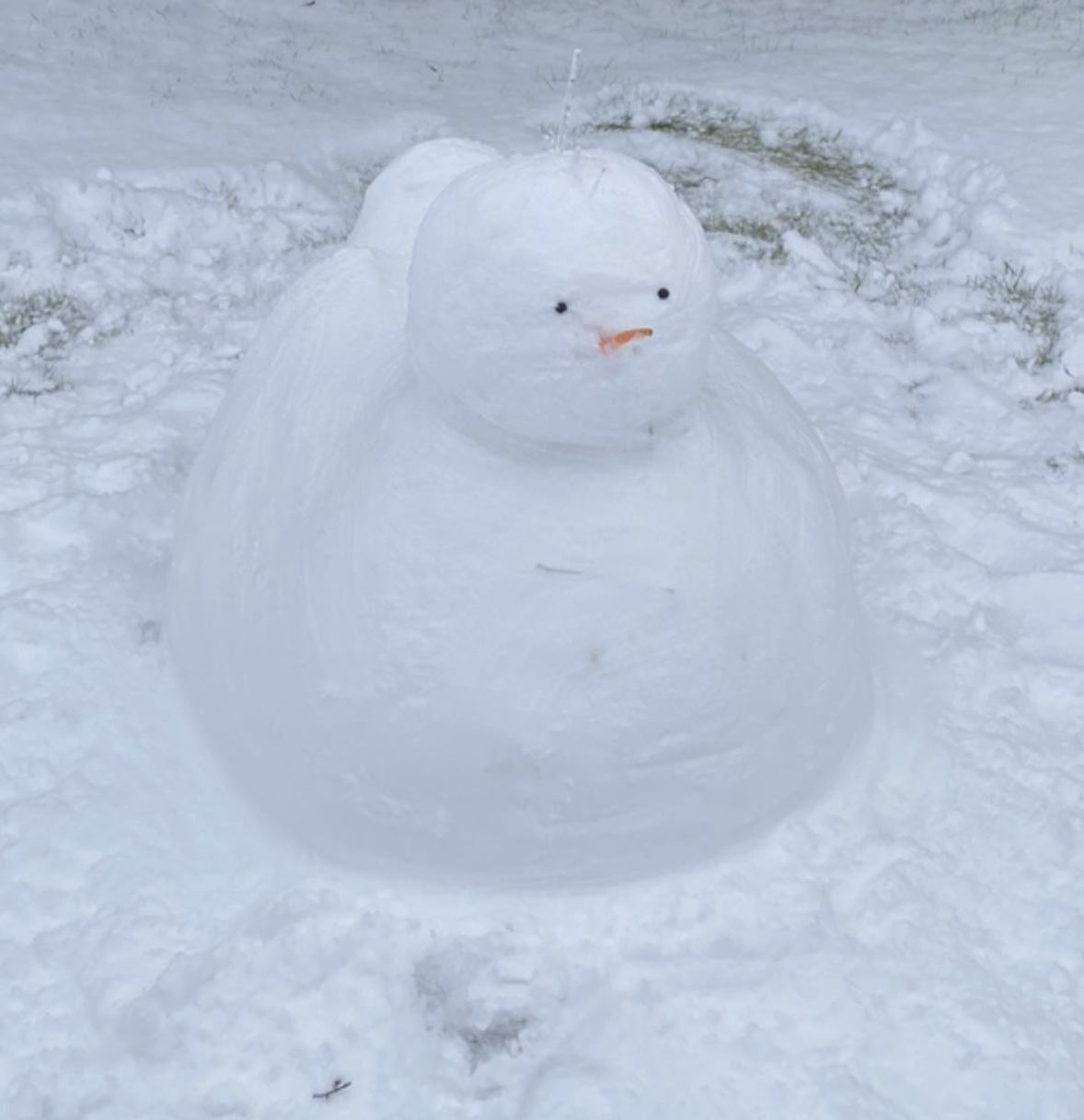 SCHNEEMANN-Challenge