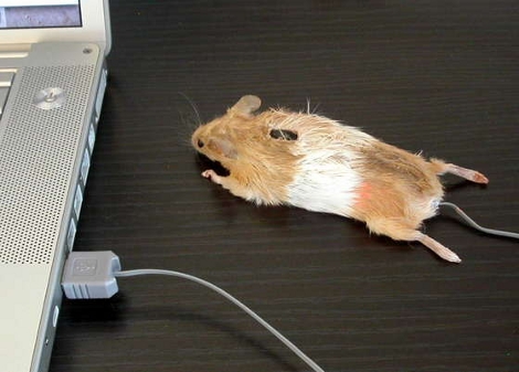 Will This Mouse Get Me Kicked Out Of The Coffee Shop? | Hackaday