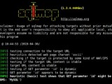 Sql Injection Testing Using Sqlmap