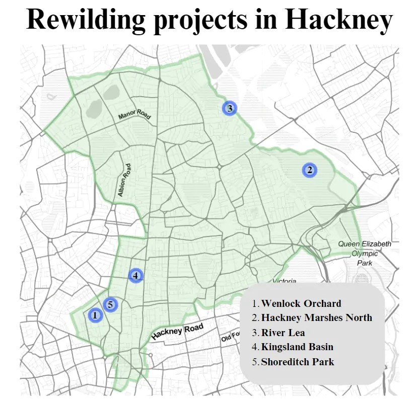 interactive-map - Hackney Post