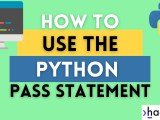 Pass Python Docs With Examples