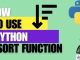 Python Sort Function Docs With Examples