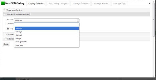 Trying Out the New NextGEN Gallery - Haden Interactive
