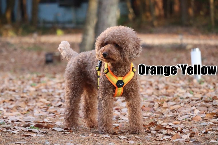 Zero Harness – Hakusan