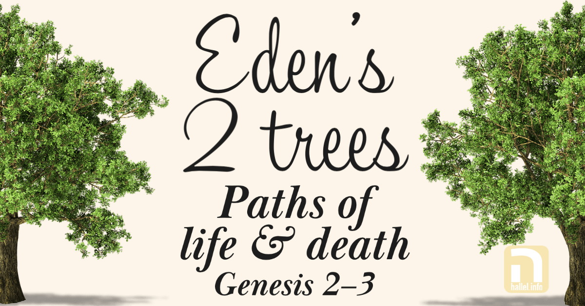 Eden’s two trees: Paths of life and death (Genesis 2–3) – Hallel Fellowship