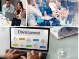 Custom Plugin Development Optimal Performance Solutions