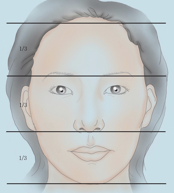 Upturned nose correction with rhinoplasty by Hanabiclinic