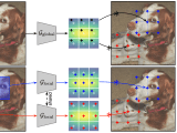 Deformable Kernels