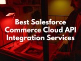 Best Salesforce Commerce Cloud Api Integration Services