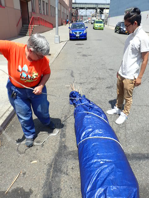 Build a Reed Boat With Us! | HarborLAB