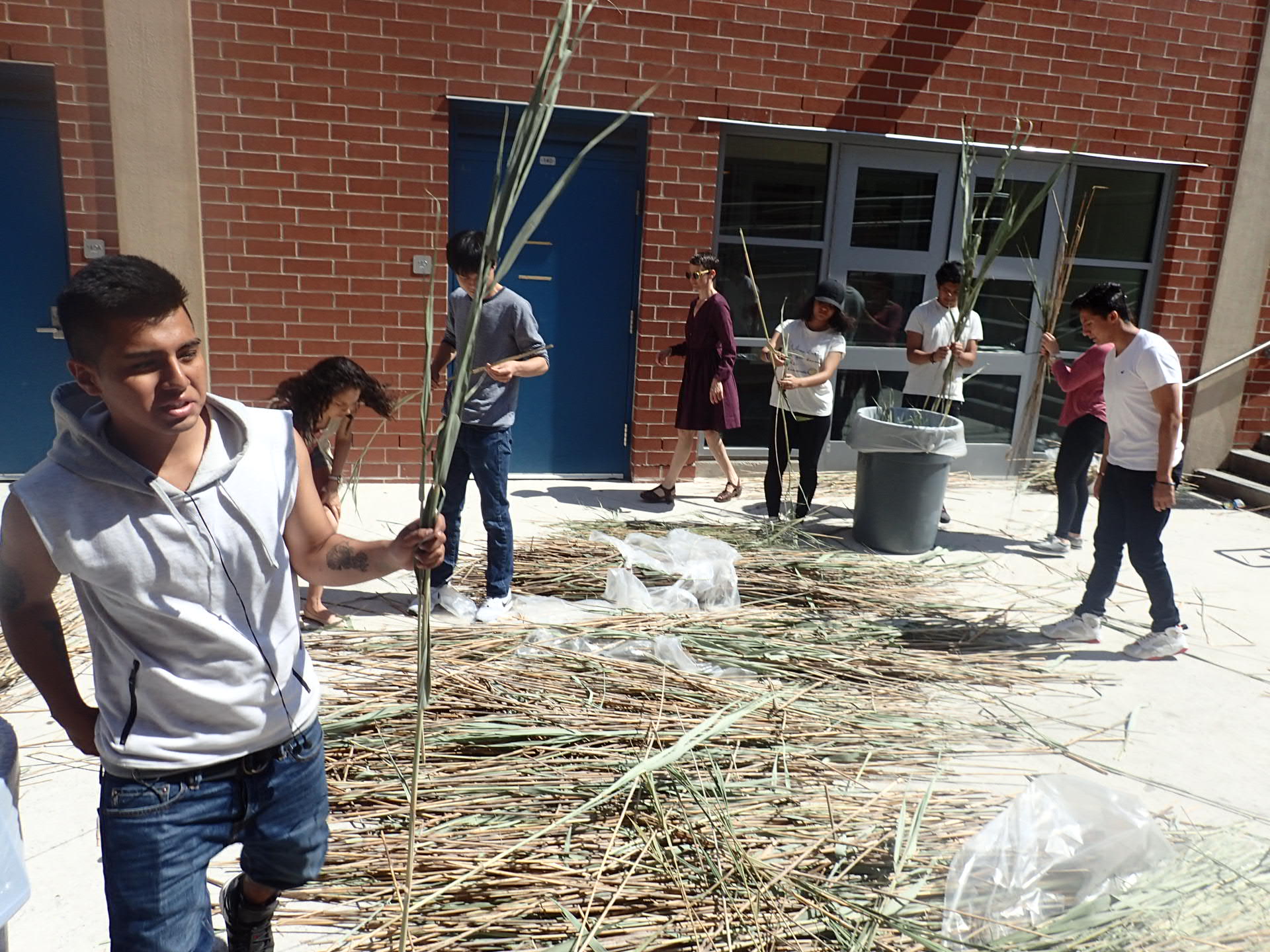 Build a Reed Boat With Us! | HarborLAB