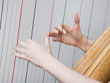 Plucked Sounds Harp Notation