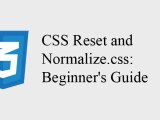 Css Reset And Normalize Css Beginner S Guide Harshit Sharma