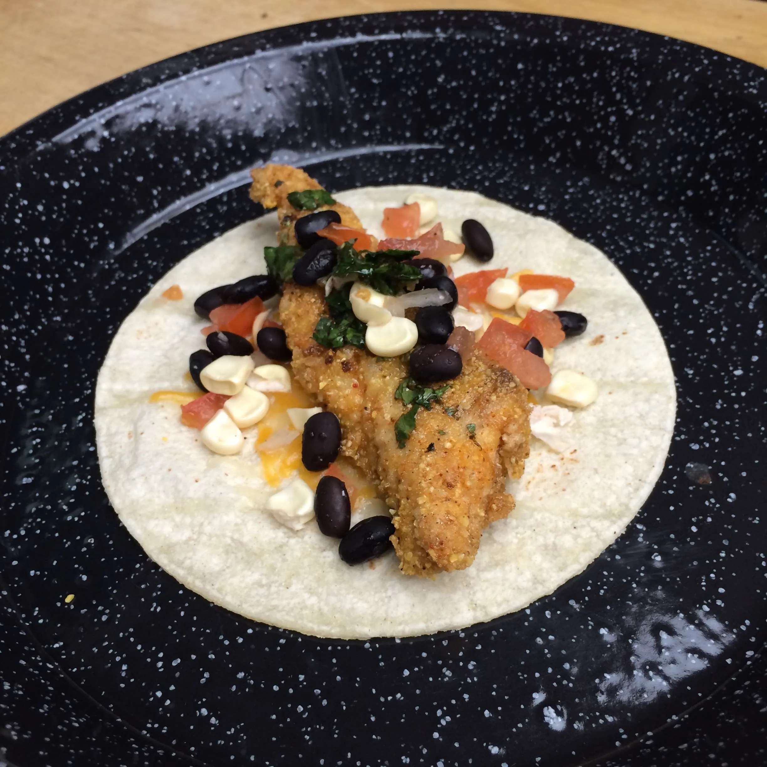 Wild Fish Tacos with Cilantro Citrus Honey Sauce - Harvesting Nature