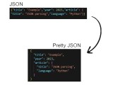 How To Read Parse Json With Python Hasdata