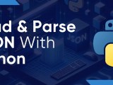 How To Read Parse Json With Python Hasdata