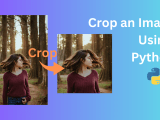 Python Image Library Crop