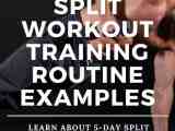 5 Day Strength Training Program Workout Routine Split Examples
