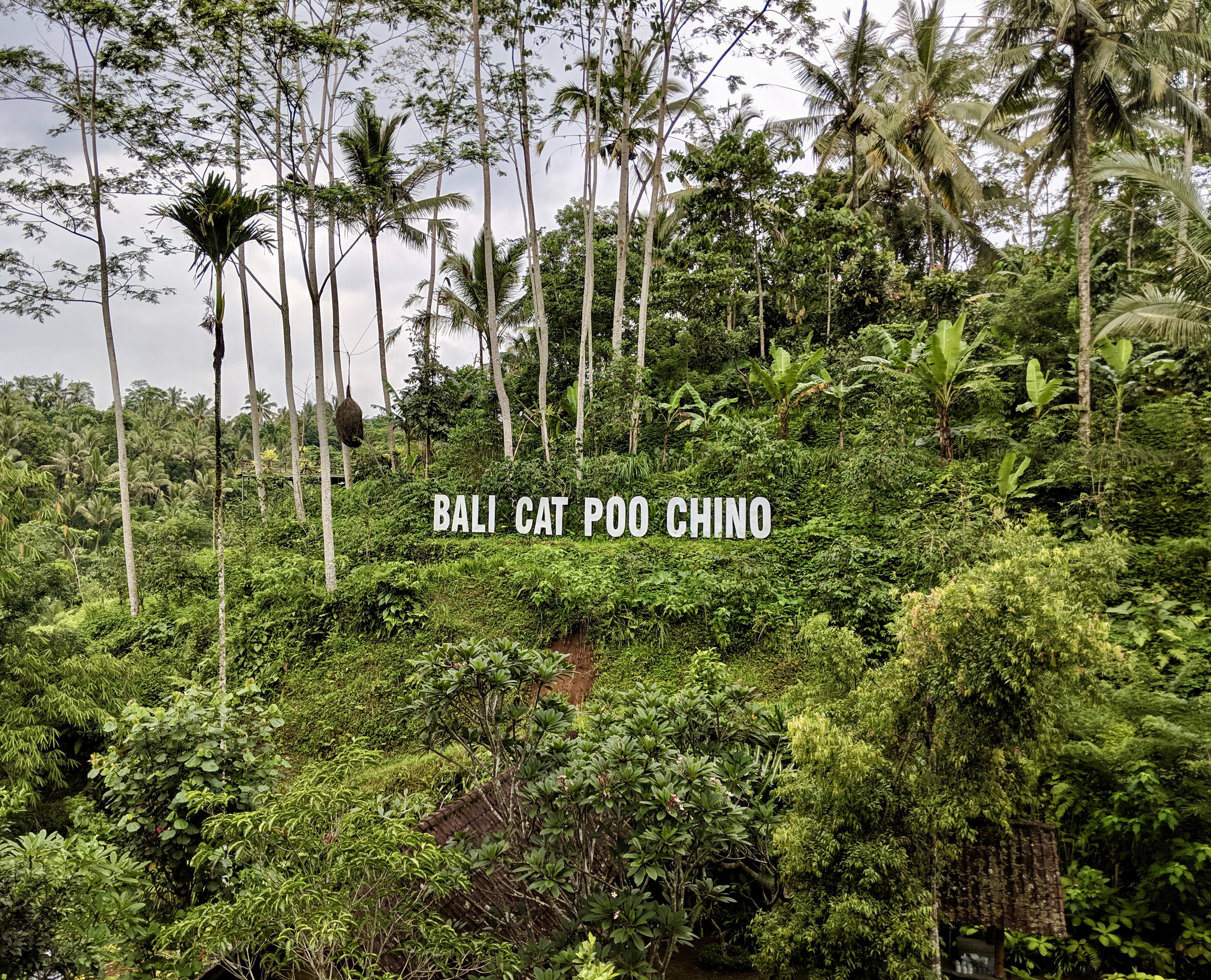 Satria Agrowisata Coffee Plantation - Having a Bali