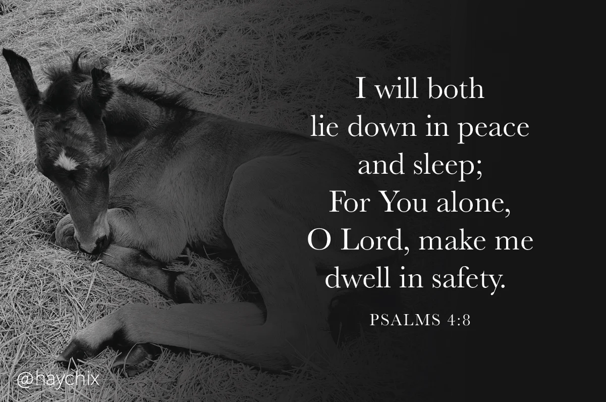 What S Keeping You Up At Night Hay Chix