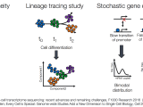 Single Cell Rna Seq Generation Of Count Matrix In Depth Ngs Data