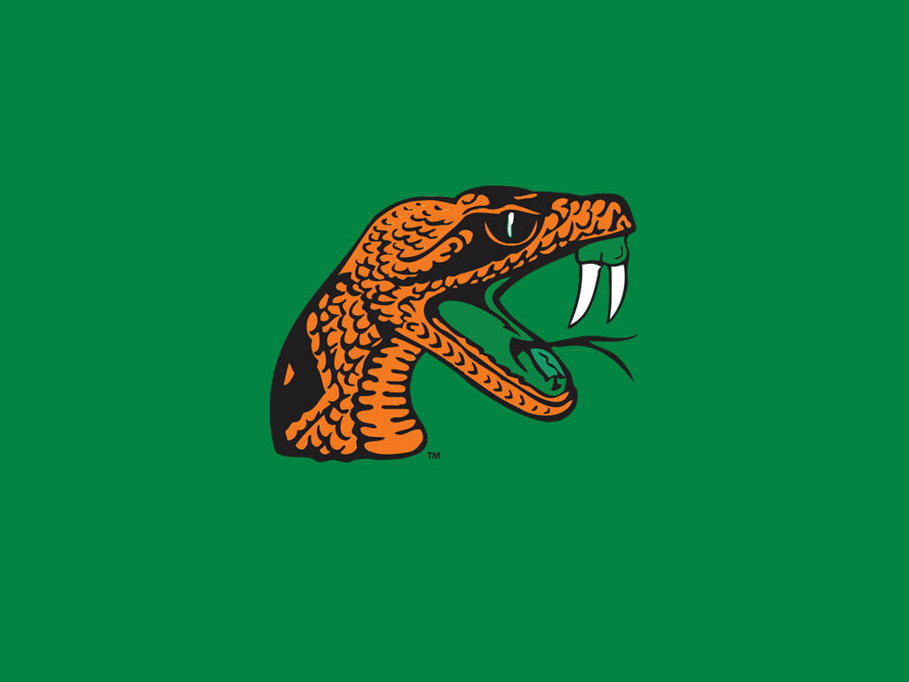 Florida A&M to induct 10 in 2020 Hall of Fame class