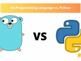 Go Programming Language Vs Python A Comparative Analysis Hblab Group