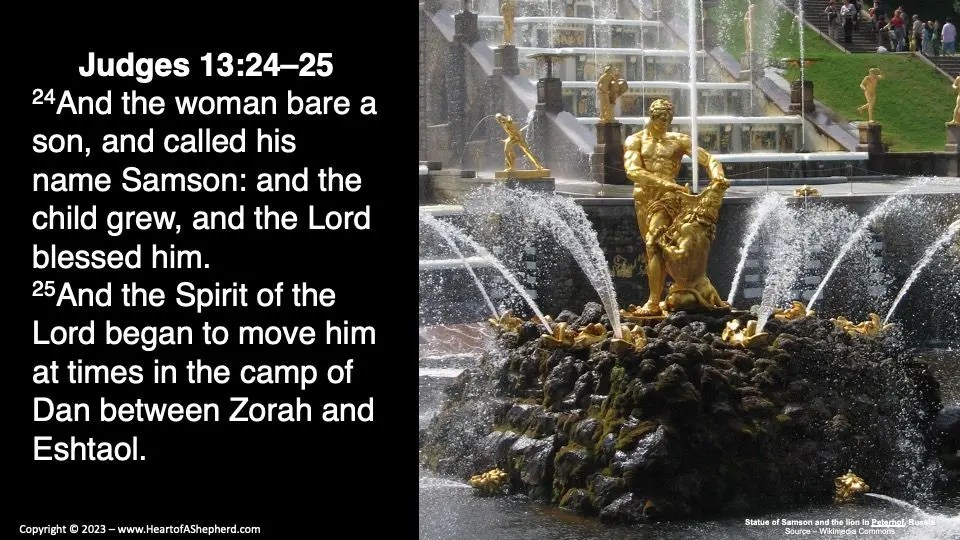 Children Archives - "From The Heart of A Shepherd" by Pastor Travis D ...