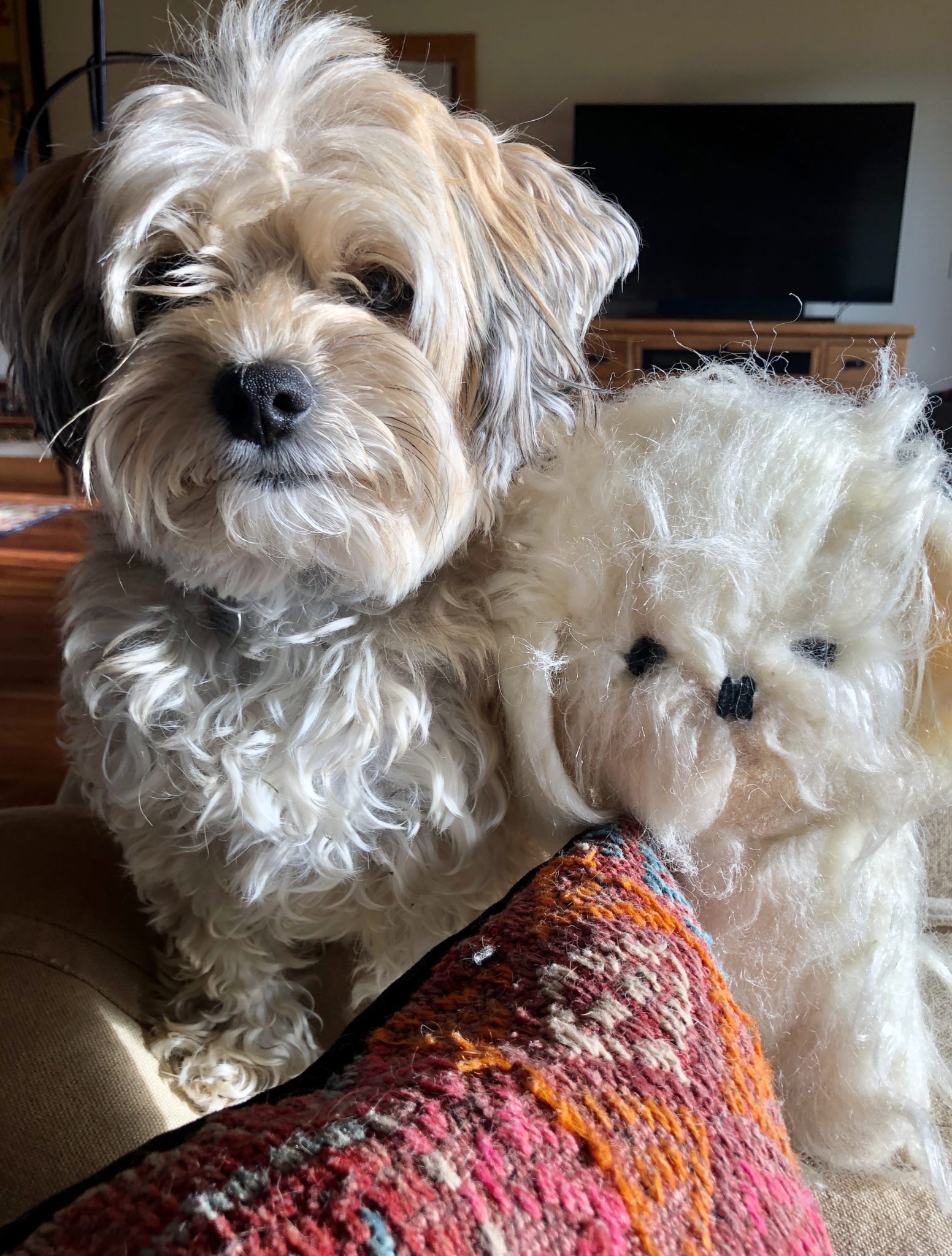 Teddy - Heide Boyden