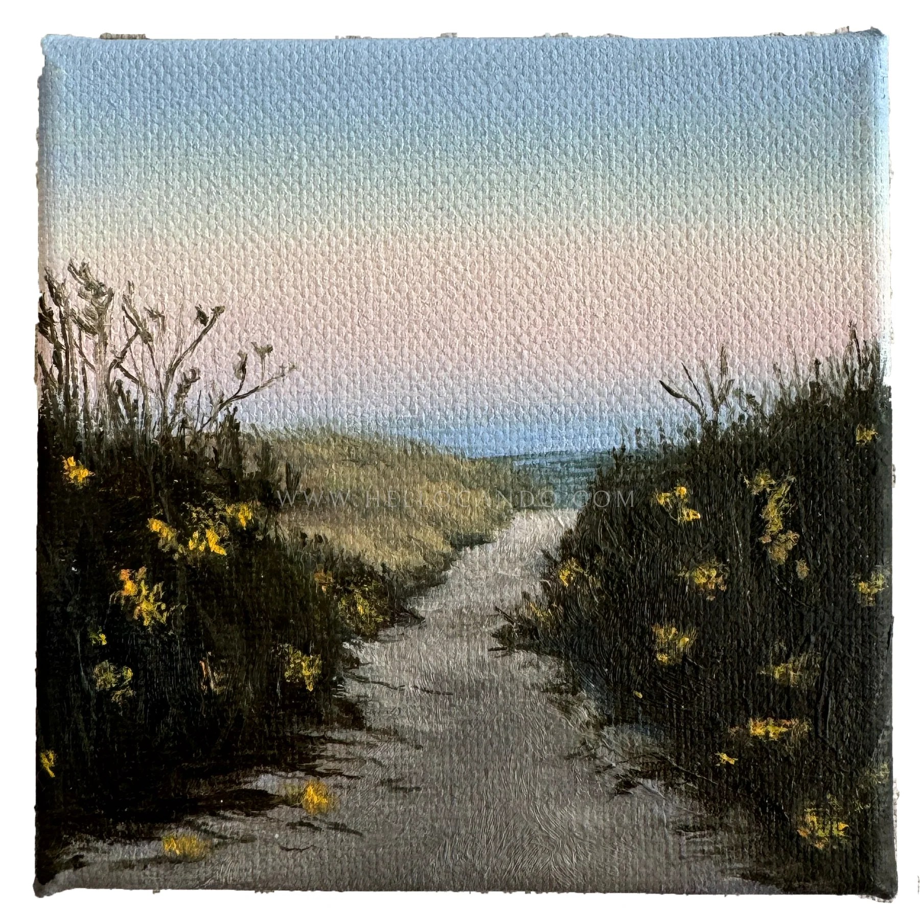 Mini 14 2024 Collection Hello Cando